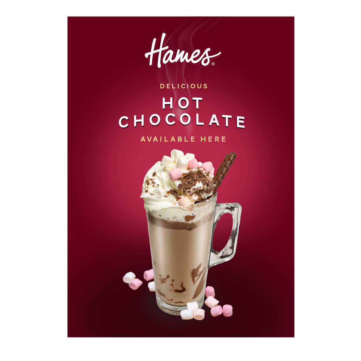www.HamesChocolates.co.uk - Hames Hot Chocolate - Point of Sale A3 ...
